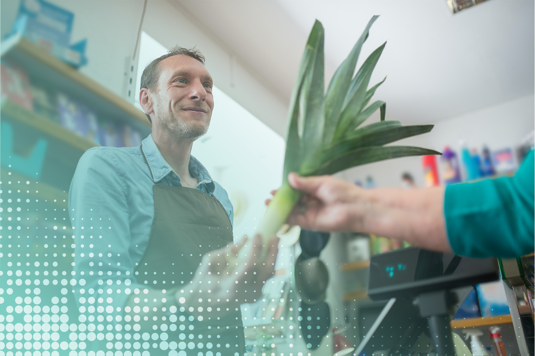 EBT Processing + Credit Card Processing | goEBT